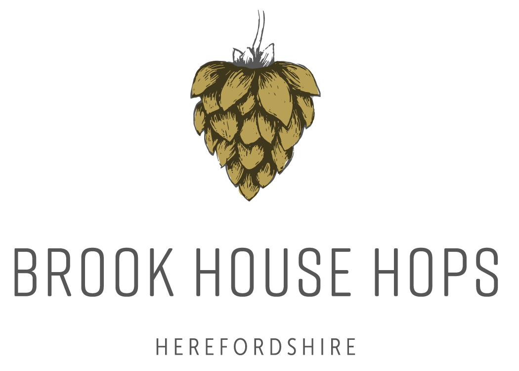 Case Study 1: Brook House Hops – Mae Day Marketing